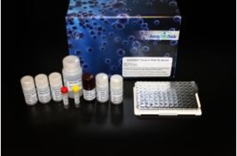 Human ENA-78 ELISA Kit (A101989) | Antibodies.com
